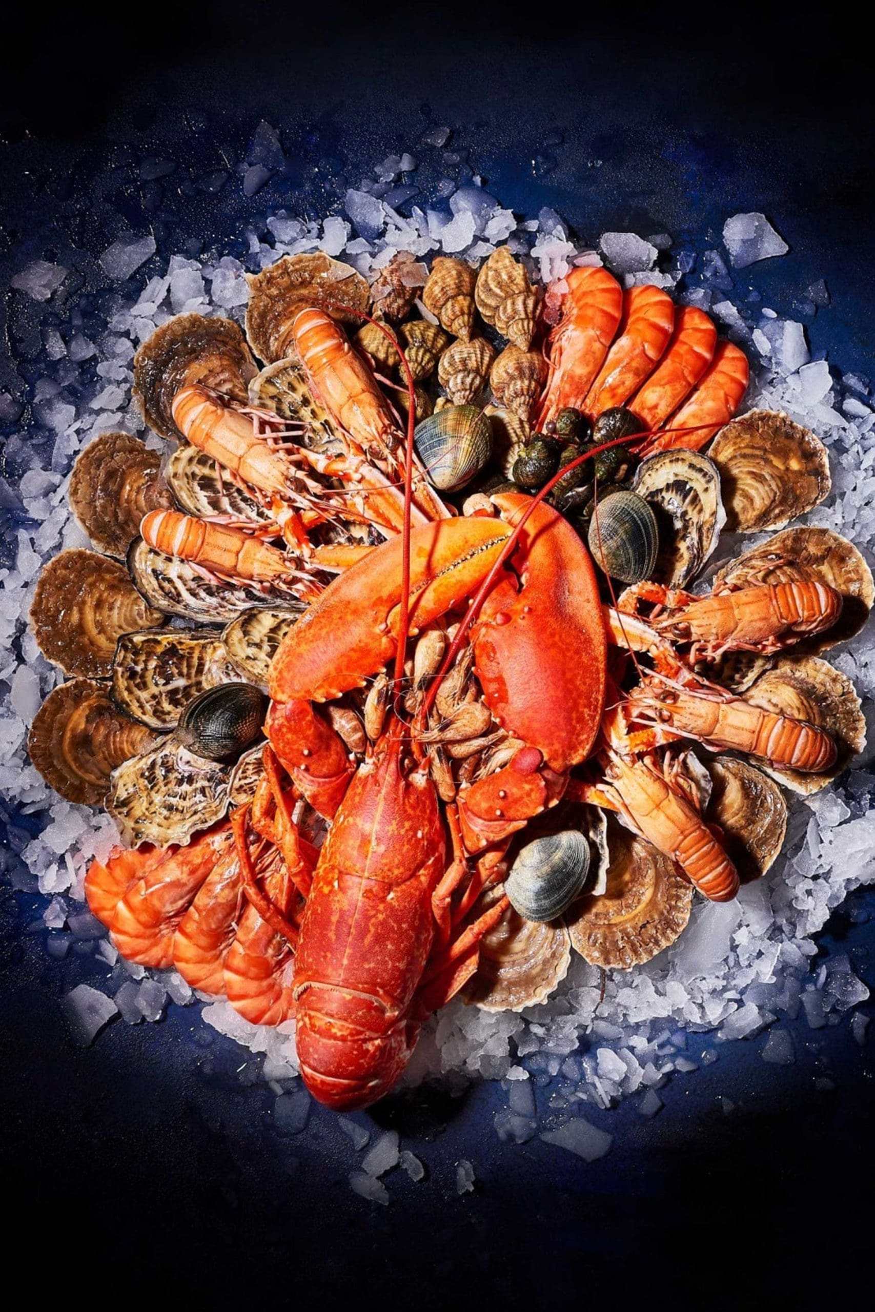 A family and its team united in their passion for shellfish. • Famille ...